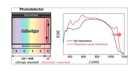 Highly Sensitive Resonance Enhanced Organic Photodetectors For Shortwave Infrared Sensing Acs