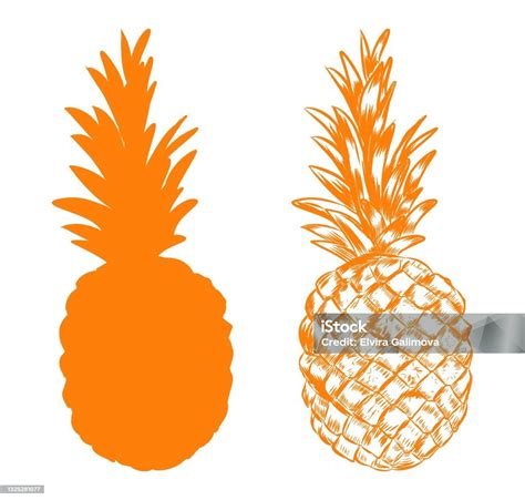 파인애플 작품 손으로 그린 스케치와 실루엣 아나나 비타민 여름 디저트의 사진 벡터 그림입니다 외형선에 대한 스톡 벡터 아트 및