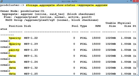Remote Infrastructure Management Netapp Ontap 9 Raid Tec Configuration