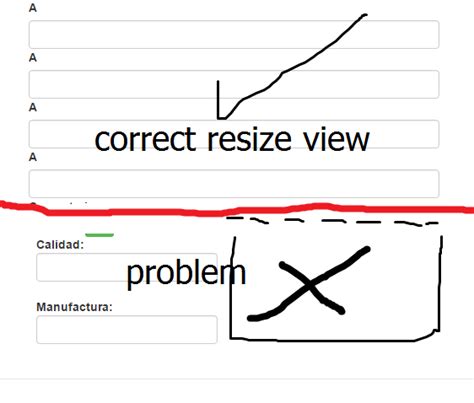 Javascript Input With Wrong Size Stack Overflow