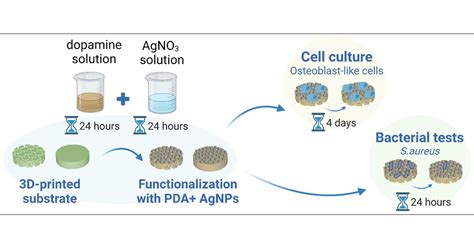 Functionalization Of 3d Printed Scaffolds Using Polydopamine And Silver Nanoparticles For Bone