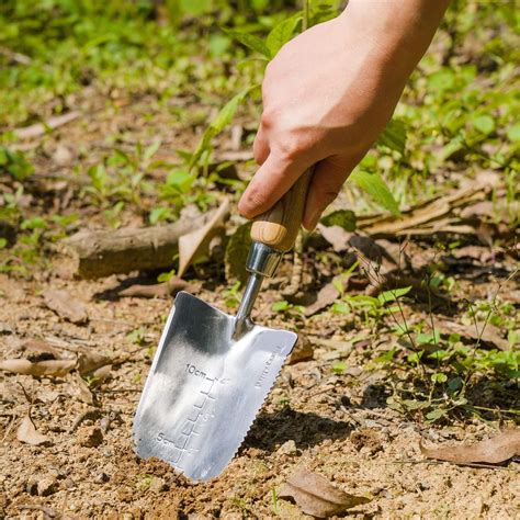 Digmagnet Choosing The Best Garden Trowel For Gardening Chores