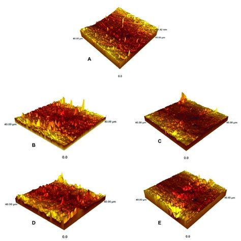 Three Dimensional Atomic Force Microscopy Images Before And After The
