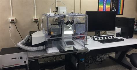 Leica Sp8 Laser Confocal Microscope Usf Health