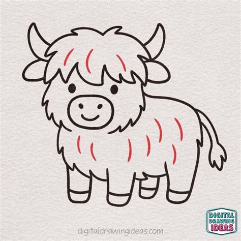 How To Draw A Highland Cow Digital Drawing Ideas