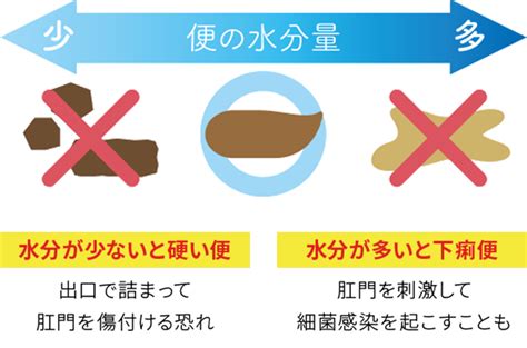 ボラギノールスムース便秘薬特設ページ｜ボラギノール公式ブランドサイト