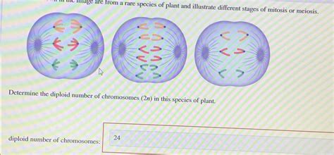 Solved Determine The Diploid Number Of Chromosomes 2n ﻿in