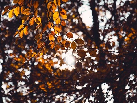 Народные приметы на 31 октября что нельзя делать в этот день МК Сахалин