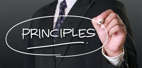 Seven Software Testing Principles As Laid Out By ISTQB ETestware