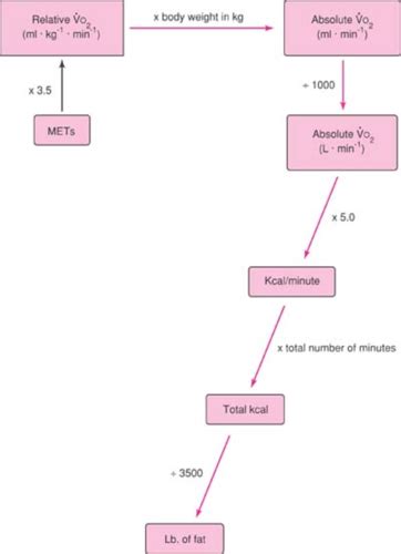 Exsc 433 Exam 2 Flashcards Quizlet
