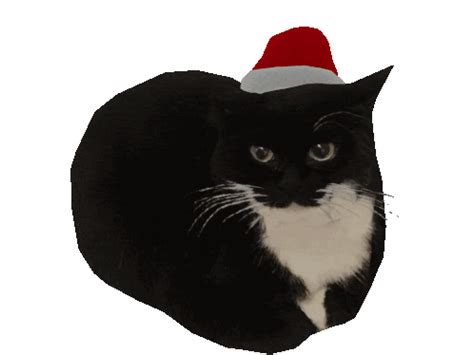 Maxwell Sticker Maxwell Discover Share Gifs