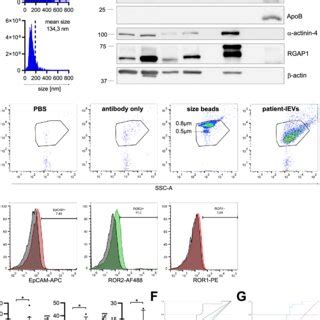 See Legend On Previous Page Download Scientific Diagram