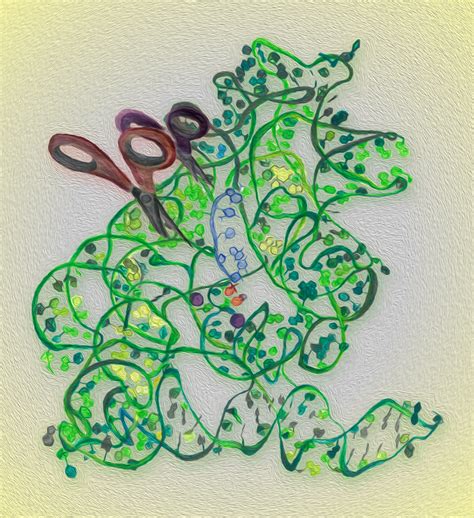 Giulia Palermo Wins The 2020 Corwin Hansch Award Inside Ucr Uc Riverside