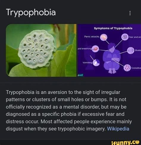 Trypophobia Symptoms Of Trypophobia Trypophobia Is An Aversion To The Sight Of Irregular