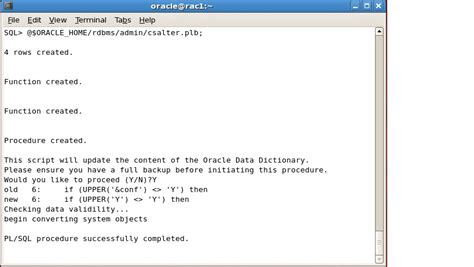 Oracle Db Character Conversion Through Cscan Utility Smart Way Of Technology