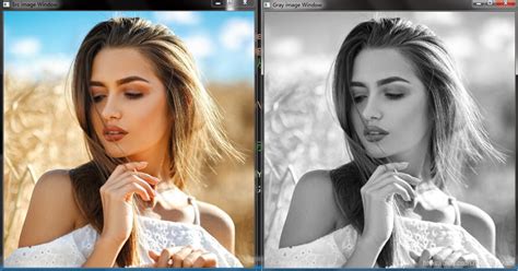 Opencv笔记3——图像的灰度化、二值化和像素的读写vc Opencv二值化 读点 Csdn博客