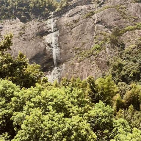 聚丰策略证券交易印花税大增背后 资本市场四大积极信号显现我国出资者上市公司