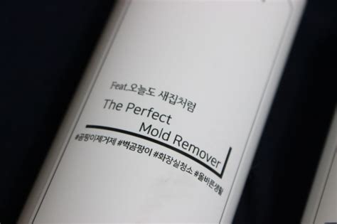곰팡이제거스프레이 올바른생활 성분 착하고 세정력은 강한 다목적세정제 주부 필수품이야 네이버 블로그