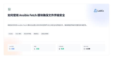 如何使用 Ansible Fetch 模块确保文件传输安全 Labex