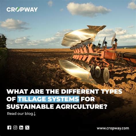Exploring The Dynamic Diversity Of Tillage Systems Cultivating Agricultural Innovation