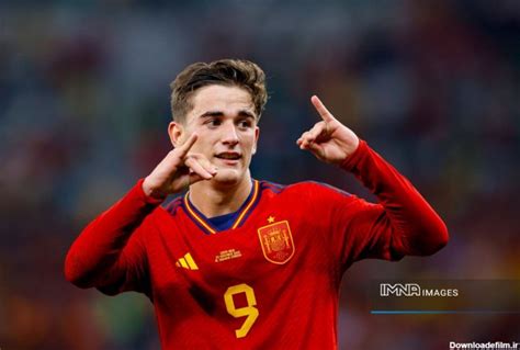 عکس فیلم گاوی