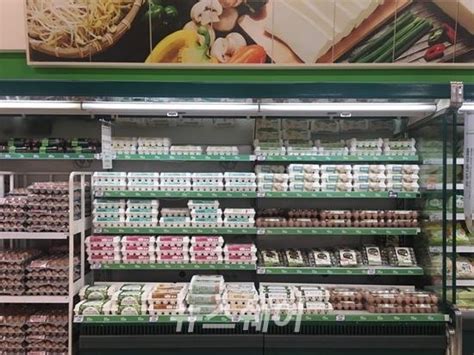 국내산 닭고기·계란 홍콩 수출 재개뉴스쉐어 Newsshare 시대를 이끄는 새로운 정론