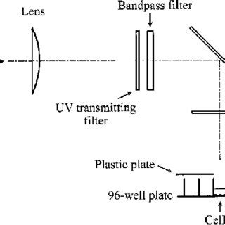 Schematic Experimental Setup For UV Exposure Download Scientific Diagram