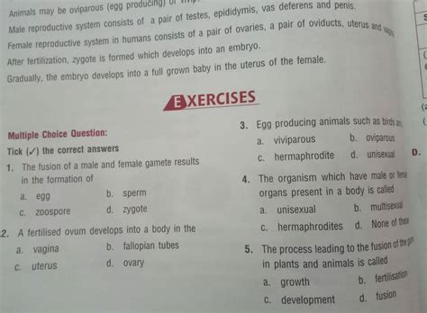 The Process Leading To The Fusion Of The Filo