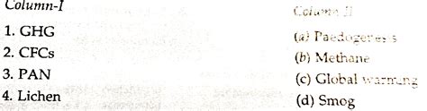 match the following column i and column ii