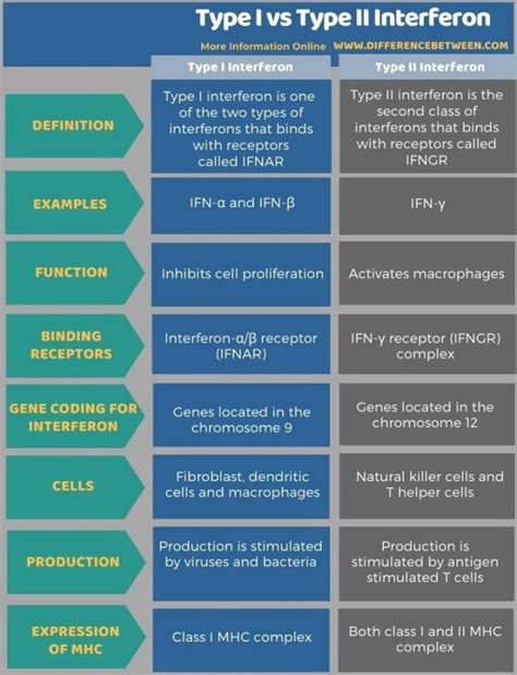 Difference Between Type I And Type Ii Interferon Compare The Difference Between Similar Terms