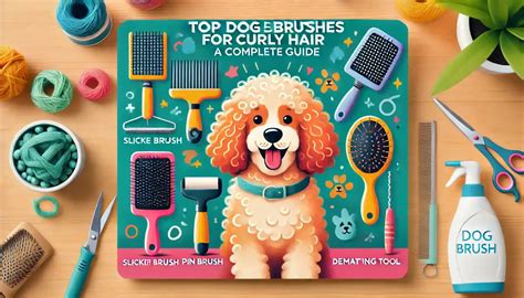 Top Dog Brushes For Curly Hair The Ultimate Grooming Guide Poochi Paws
