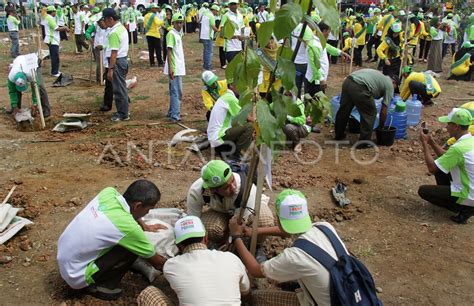 DAY PLANTING INDONESIAN TREE ANTARA Foto