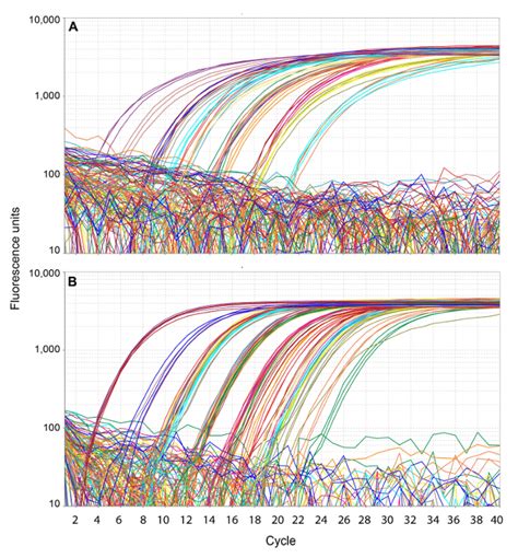 Amplification Plots Fluorescence Readings Are Plotted Against