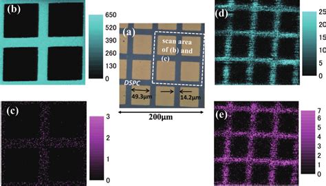 Color Online Results Of Imaging Mass Spectrometry A Optical Download Scientific Diagram