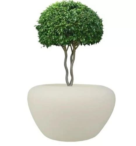 Frp Fiberglass Planters At 97500 Inr In Delhi Delhi Yuccabe Italia