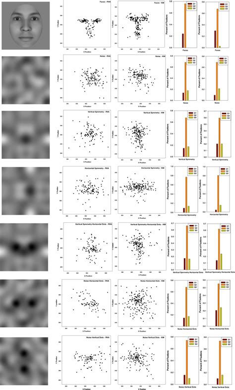 Fixation Patterns For Two Observers While Scanning A Realistic Face Or