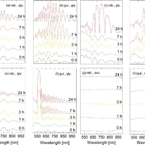 Evolution Of Reflection Spectra Over A Period Of 24 H For Rabbit Skin