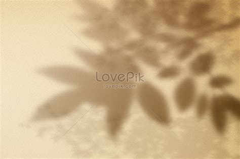 프리미엄 식물 간단한 빛과 그림자 배경 이미지 Hd 양피지 질감 배경 구겨진 종이 배경 사진 무료 다운로드 Lovepik