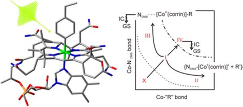 光响应条件抗维生素 B12 的设计：arylcobalamin 和 Alkynylcobalamin 的瞬时吸收研究 Journal Of The American Chemical