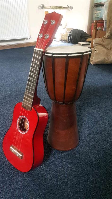 Ukulele And Bongo Drum In Coldstream Scottish Borders Gumtree