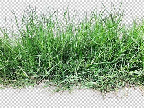 False Grass Psd High Quality Free Psd Templates For Download