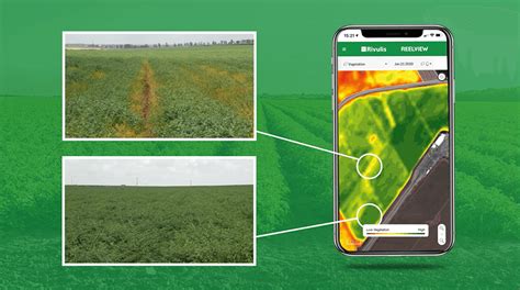 Monitoring Crops And Detecting Irrigation Reelview App Rivulis