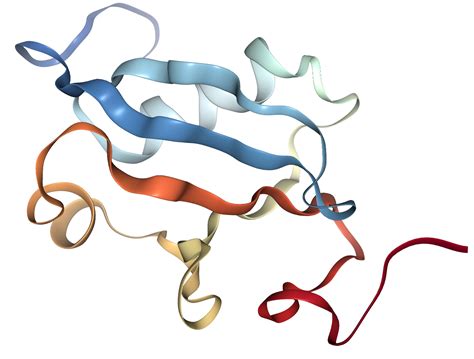 Cidea General Information Sino Biological