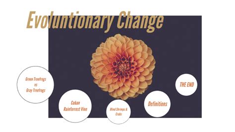 Kate Bricker By Kate Bricker On Prezi