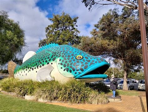 The 15 Best Things To Do In Swan Hill 2026 Must See Attractions
