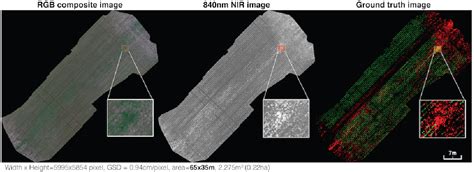 Figure 1 From Weedmap A Large Scale Semantic Weed Mapping Framework Using Aerial Multispectral