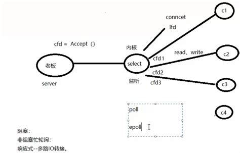 Linux网络编程 Day4 Csdn博客