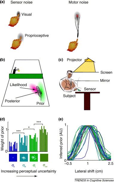 Bayesian Decision Theory In Sensorimotor Control Trends In Cognitive Sciences