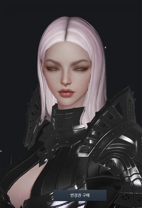 로스트아크 인벤 로스트아크 인벤 스크린샷 갤러리