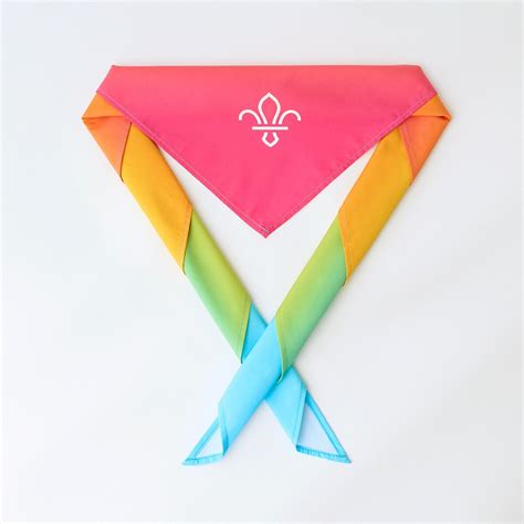 Scout Pride Ombre Scarf Necker Pansexual Flag Scout Store